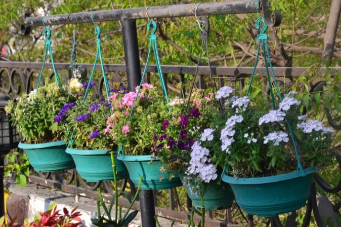 5 Easy Tips to Spruce Up Your Garden - The Yellow Sparrow