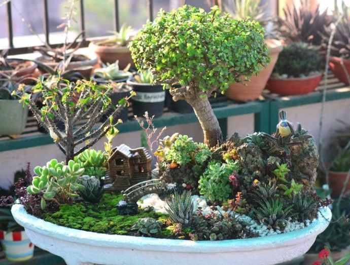 5 Easy Tips to Spruce Up Your Garden - The Yellow Sparrow