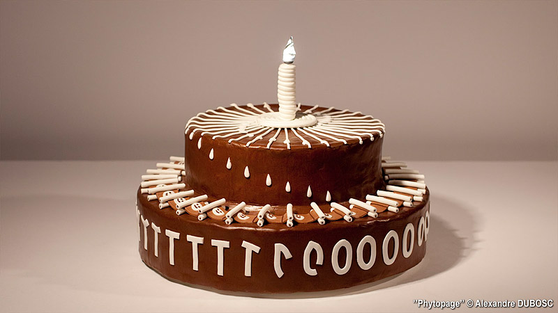 Palette Meets Palate: Creative Cake Ideas From 5 Innovative Bakeries ...