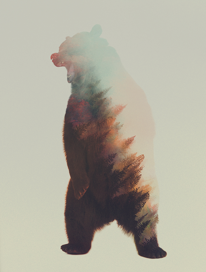 Andreas Lie's Double Exposure Animal Photography Fuses Nature And ...