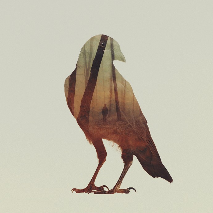 Andreas Lie's Double Exposure Animal Photography Fuses Nature And ...