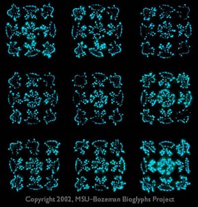 Welcome To The Dark Side: Bioluminescent Art - The Yellow Sparrow